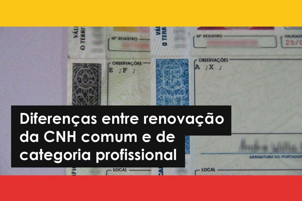Diferenças entre renovação CNH comum e categoria profissional